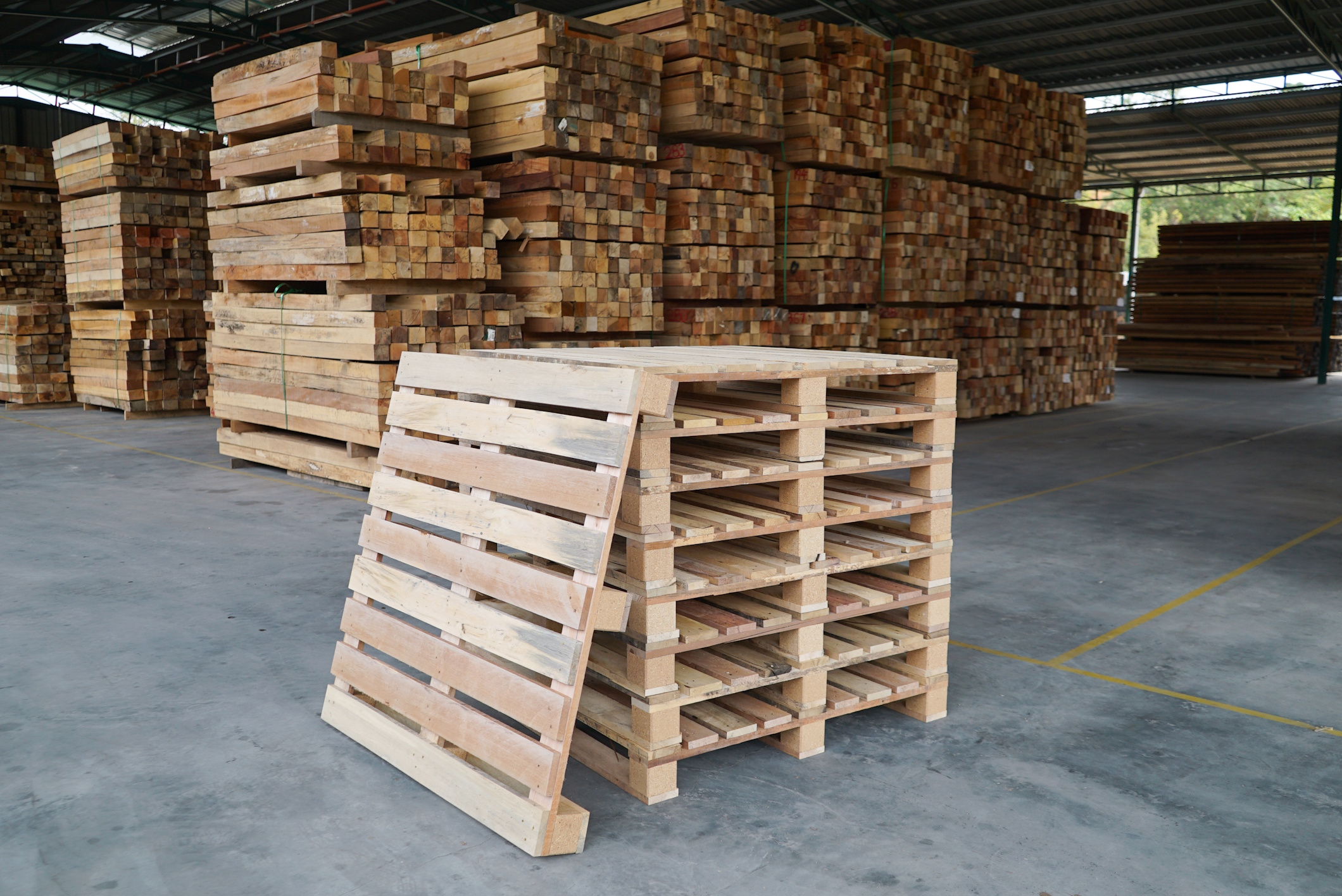 Wooden Pallet Supplier & Packaging Solutions Malaysia | Palbox